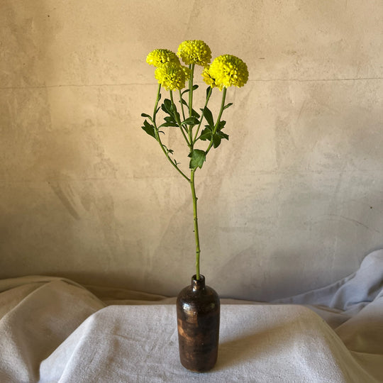 Kermit Mum – 3 Porch Farm