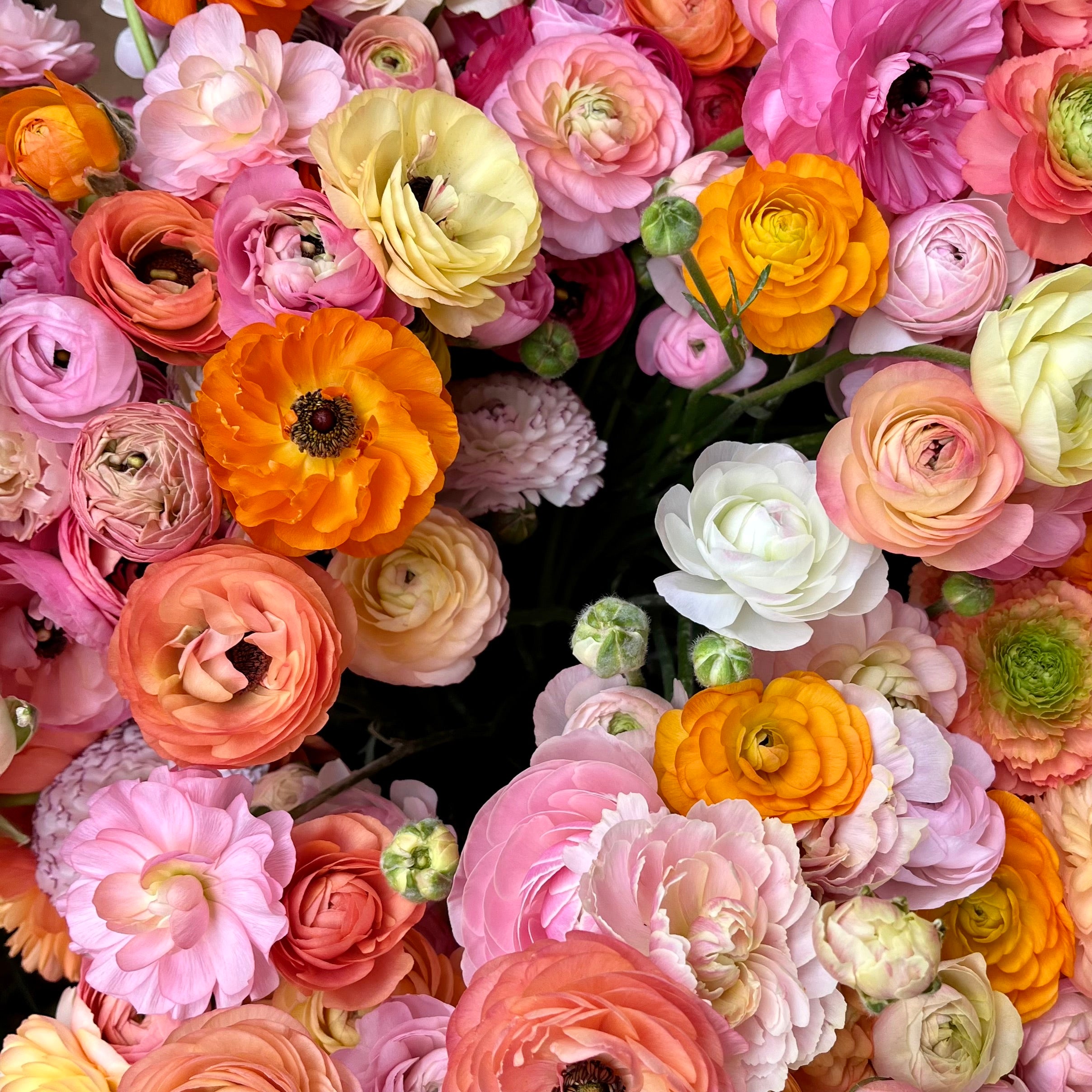 Bulk Botanicals – 3 Porch Farm