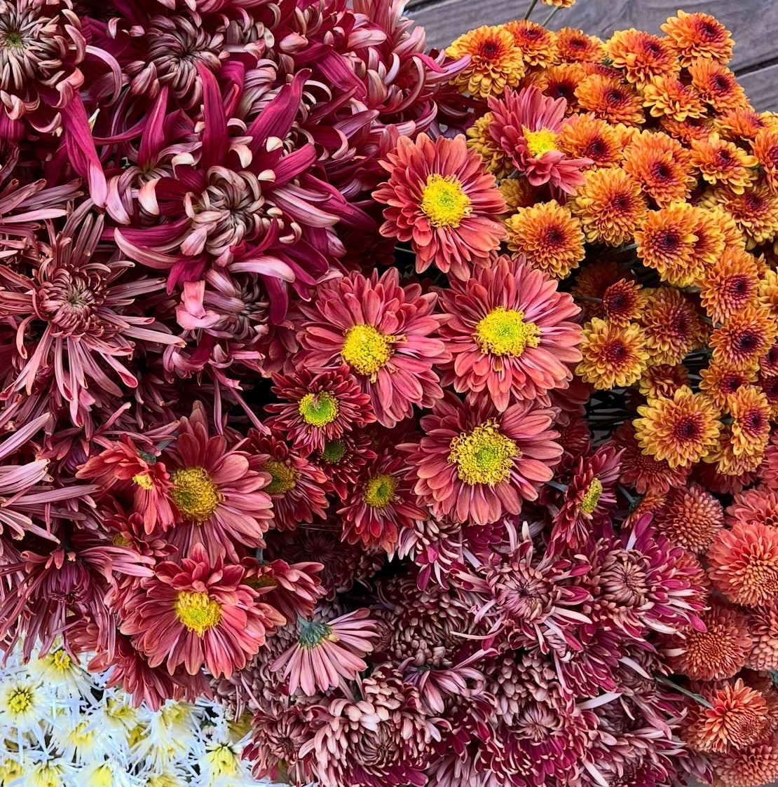 Mum Information – 3 Porch Farm